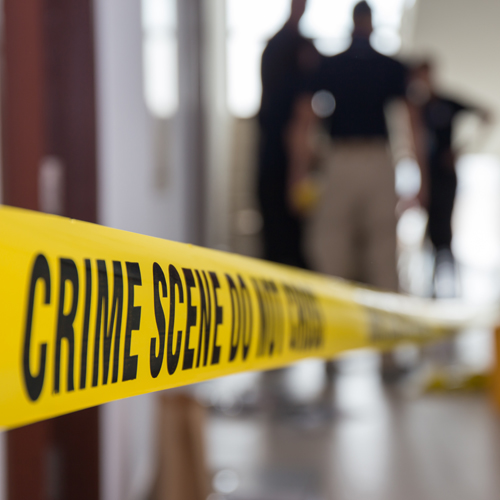 Crime & Prevention - Prosecutors' Center for Excellence